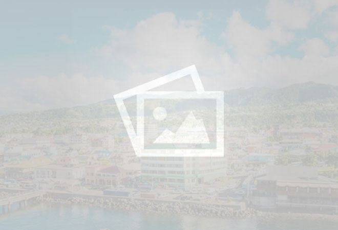 Little Einsteins Learning Center - Business