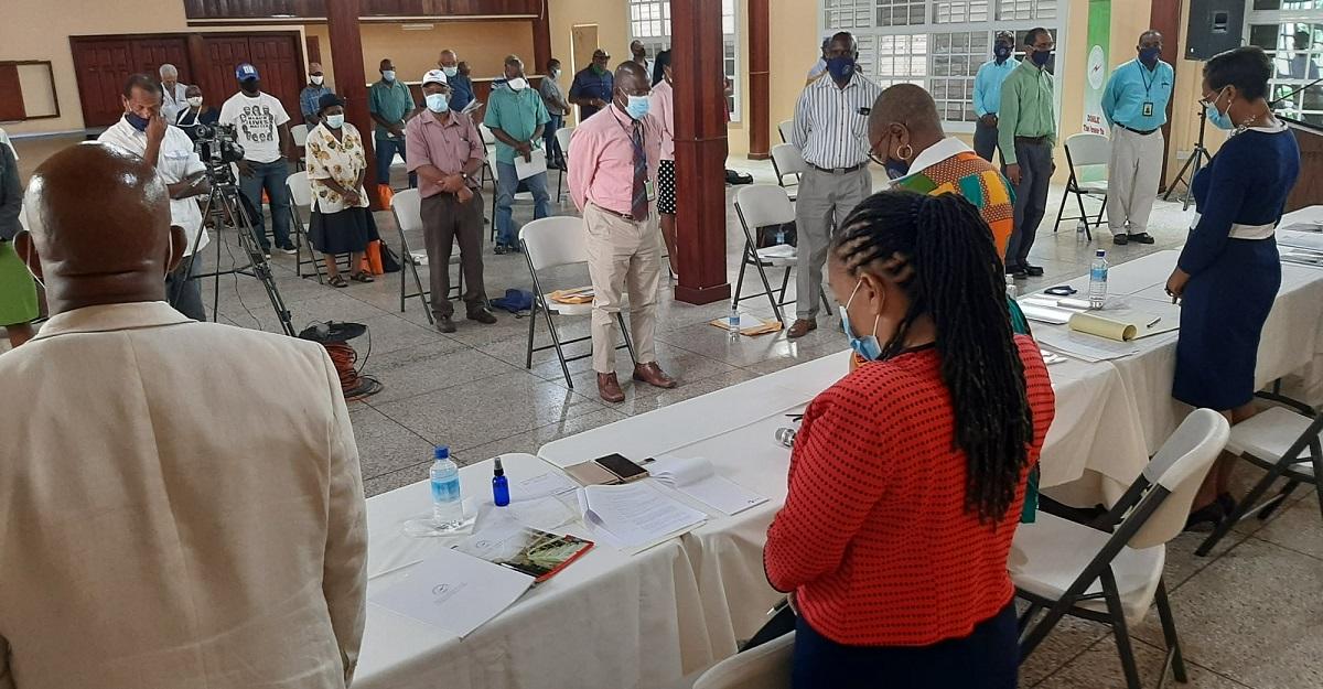 DOMLEC Posts $1.6 Million Profit Following Recovery from Hurricane ...