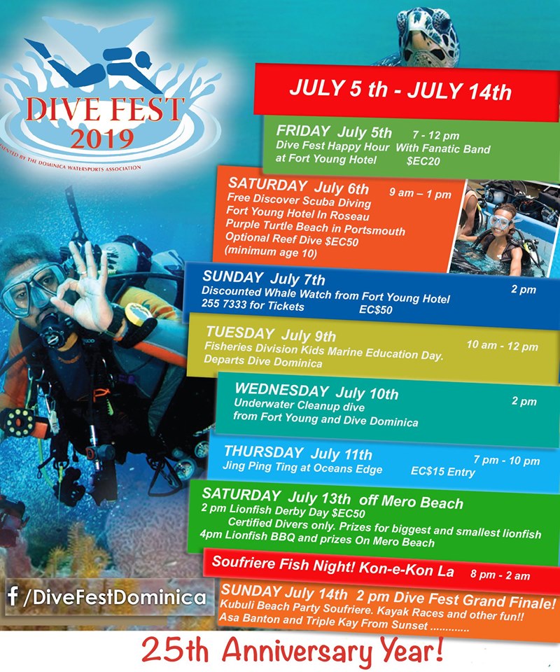 Dive Fest: 2020 – DOM767