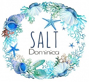 Dive Against Debris – DOM767