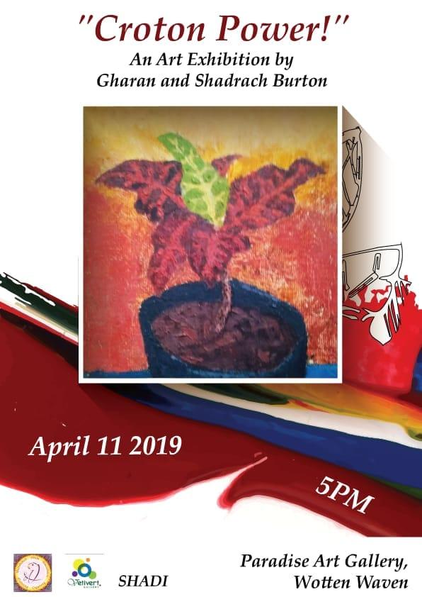 Croton Power – DOM767