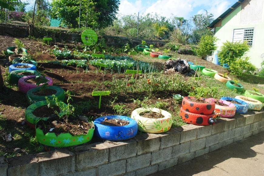 Morning Star Preschool is the winner of Schools Beautification ...