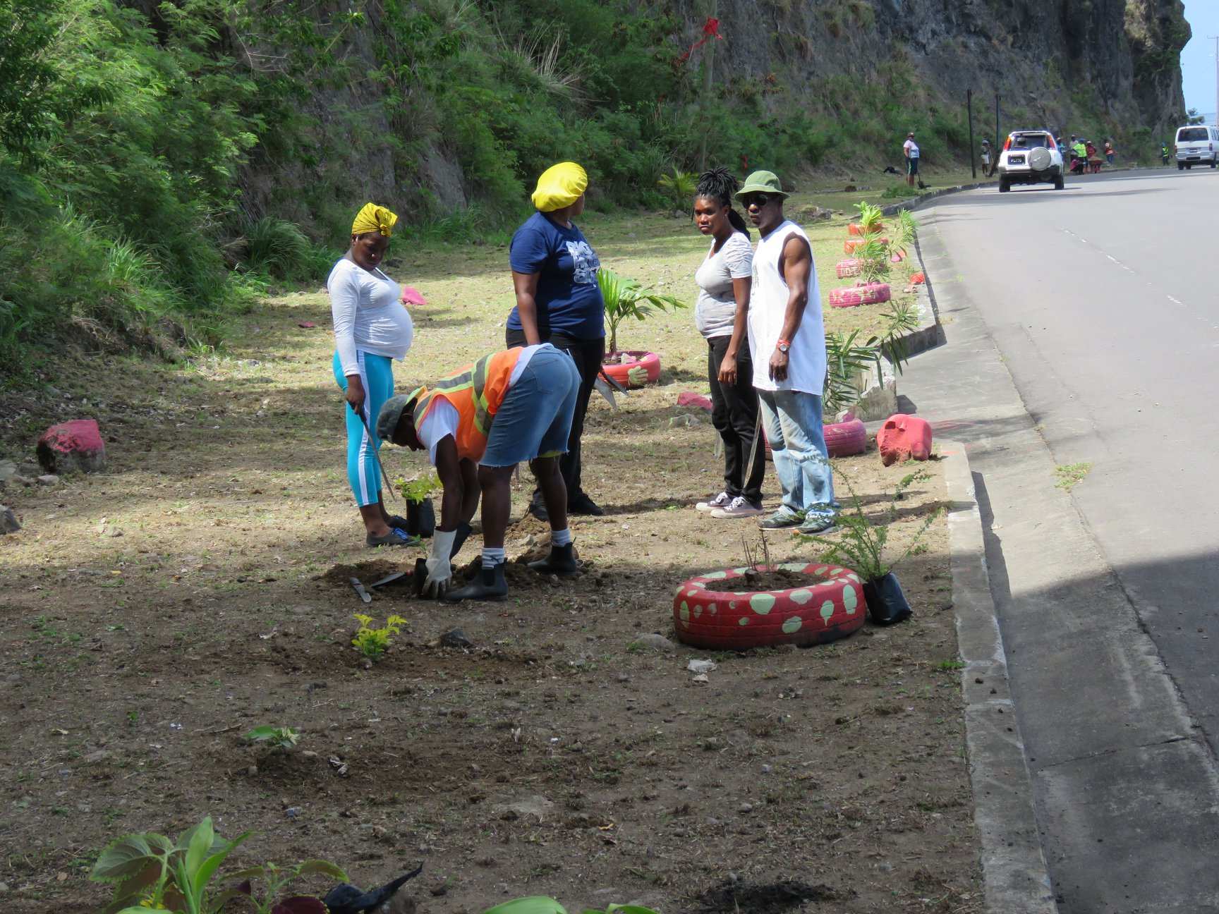 Phase 1 of the national tree planting beautification programme has ...
