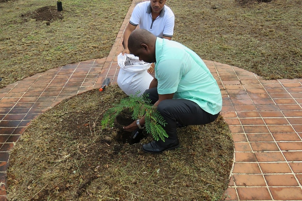 Phase 1 of the national tree planting beautification programme has ...