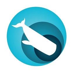 Blue Element Freediving - Business