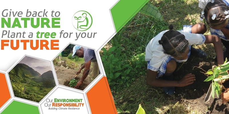 National Tree Planting Day – DOM767