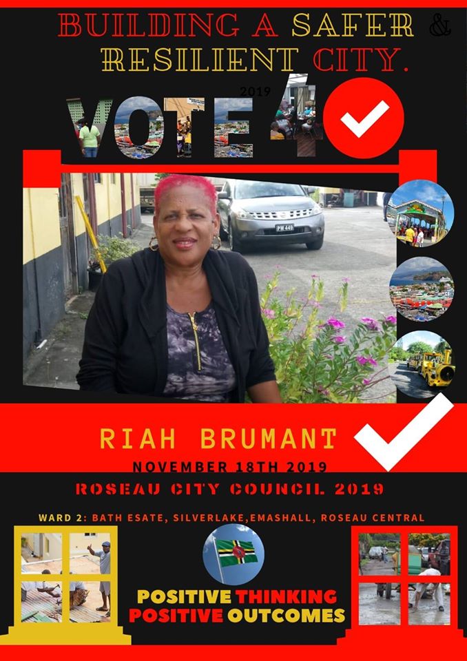 15 Candidates Contest for Roseau City Council Elections from 4 Wards ...