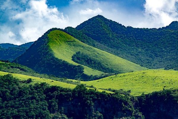 Morne Diablotin – DOM767