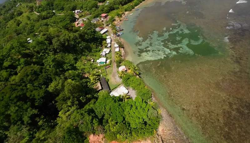 Paix Bouche Constituency – DOM767