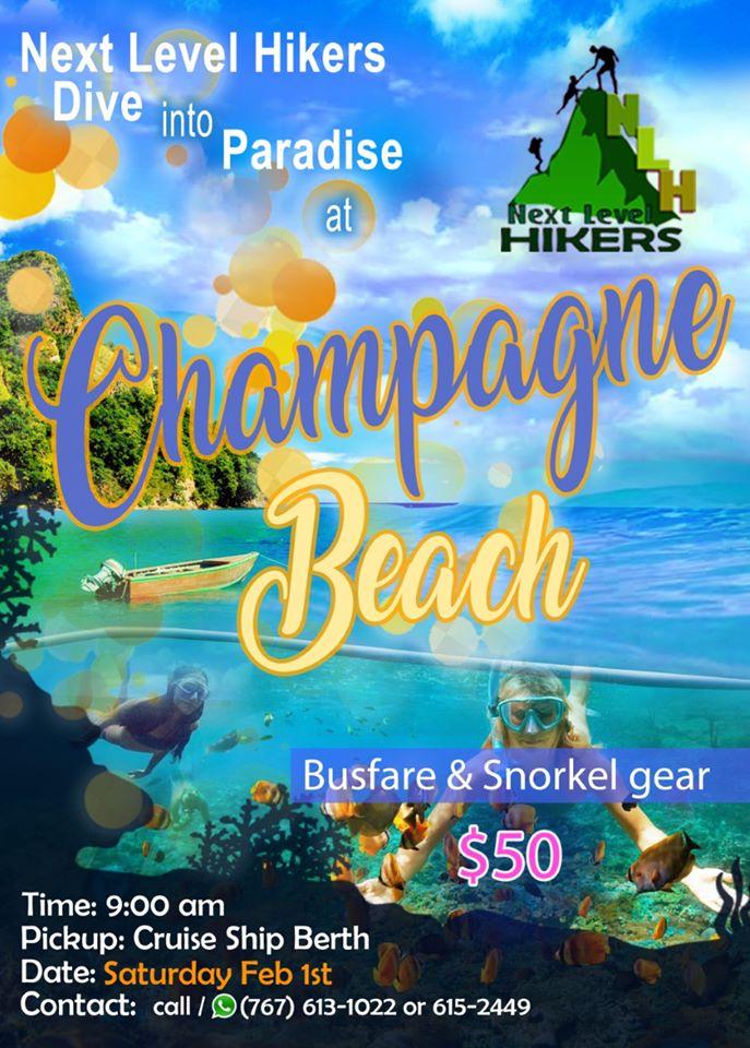 Dive into Paradise at Champagne Beach – DOM767