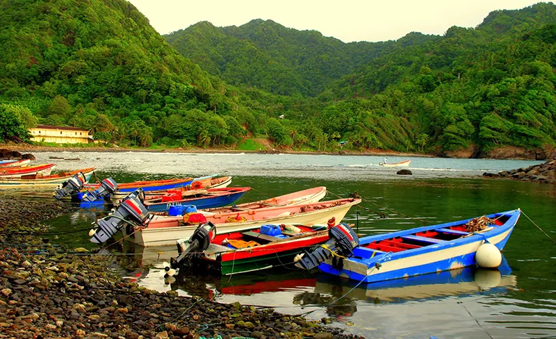 Fishing Villages in Dominica – DOM767