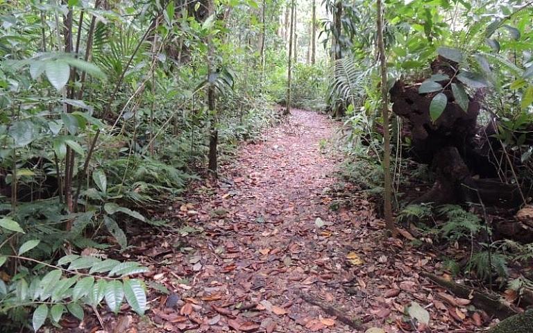 Trail Closure: Syndicate Nature Trail – DOM767