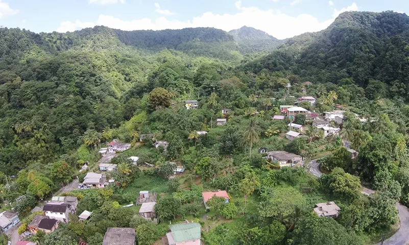 Wotten Waven – DOM767