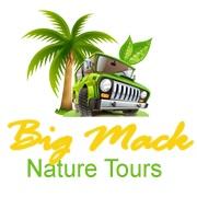 Big Mack Tours - Business