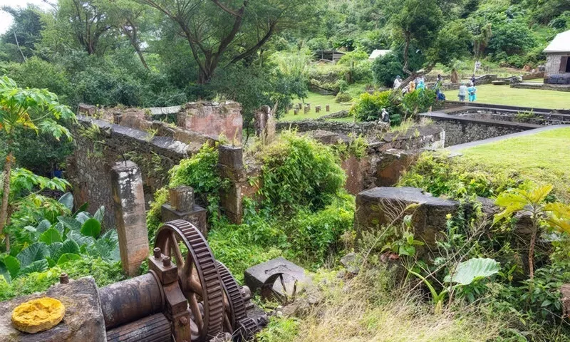 Bois Cotlette Plantation – DOM767