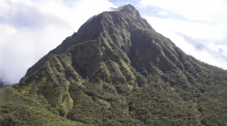 Morne Watt – DOM767