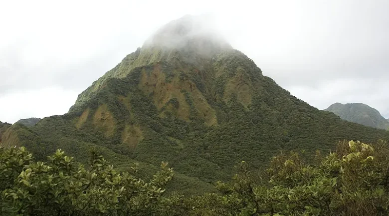 Morne Watt – DOM767