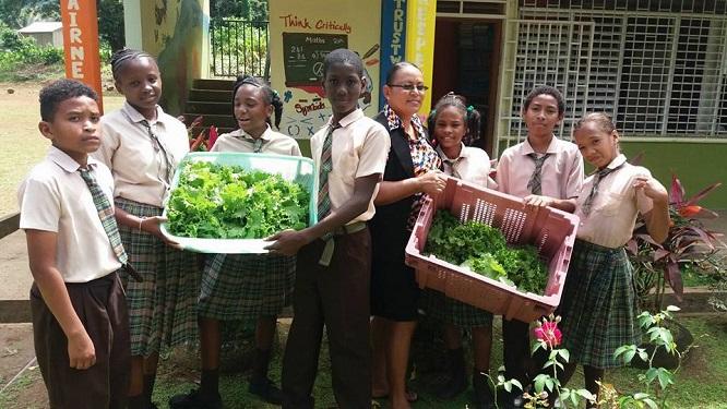 Concord Primary School | Business