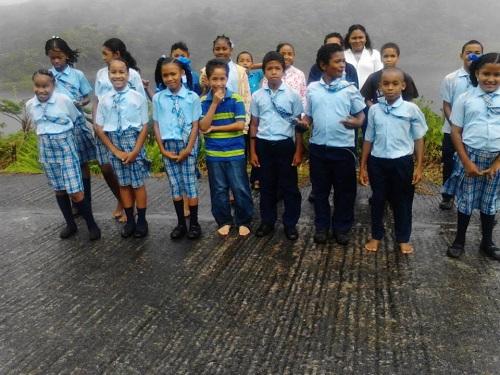Sineku Primary School - Business