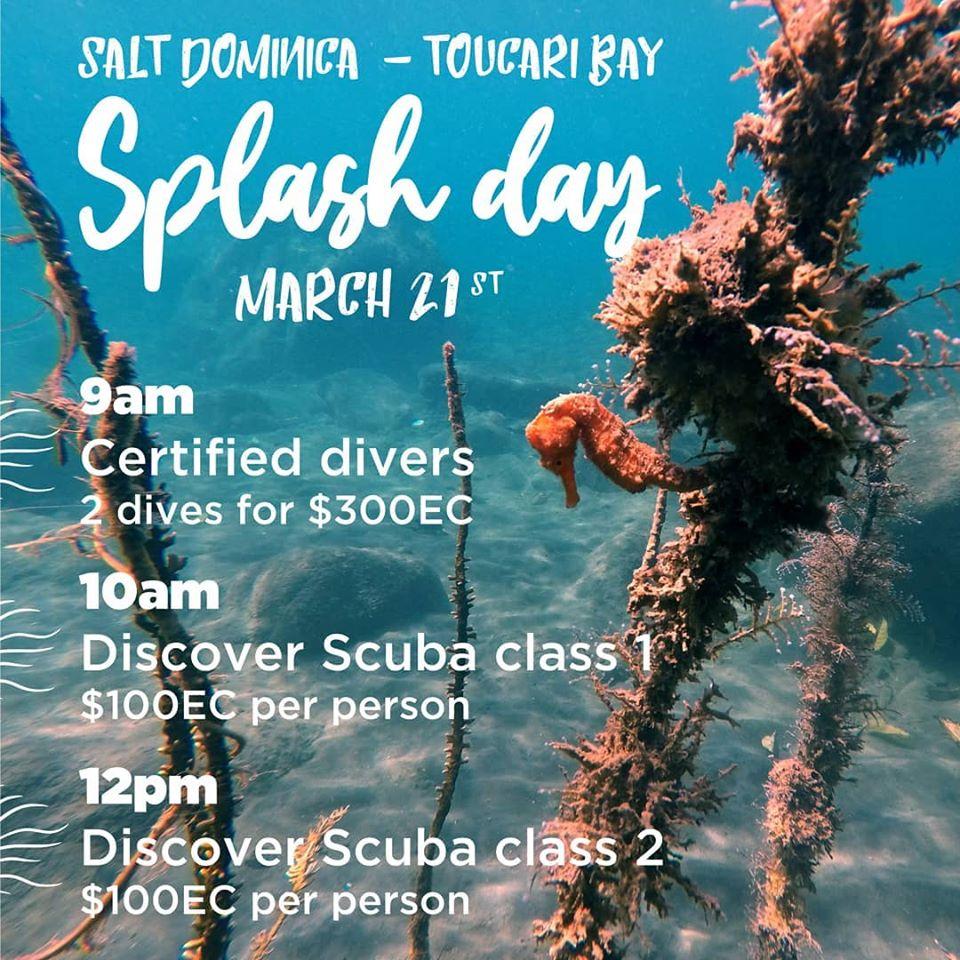 Splash Day – DOM767