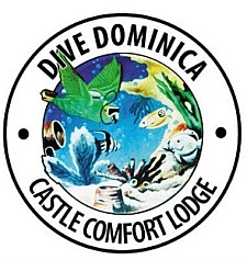 Castle Comfort Dive Lodge - Business
