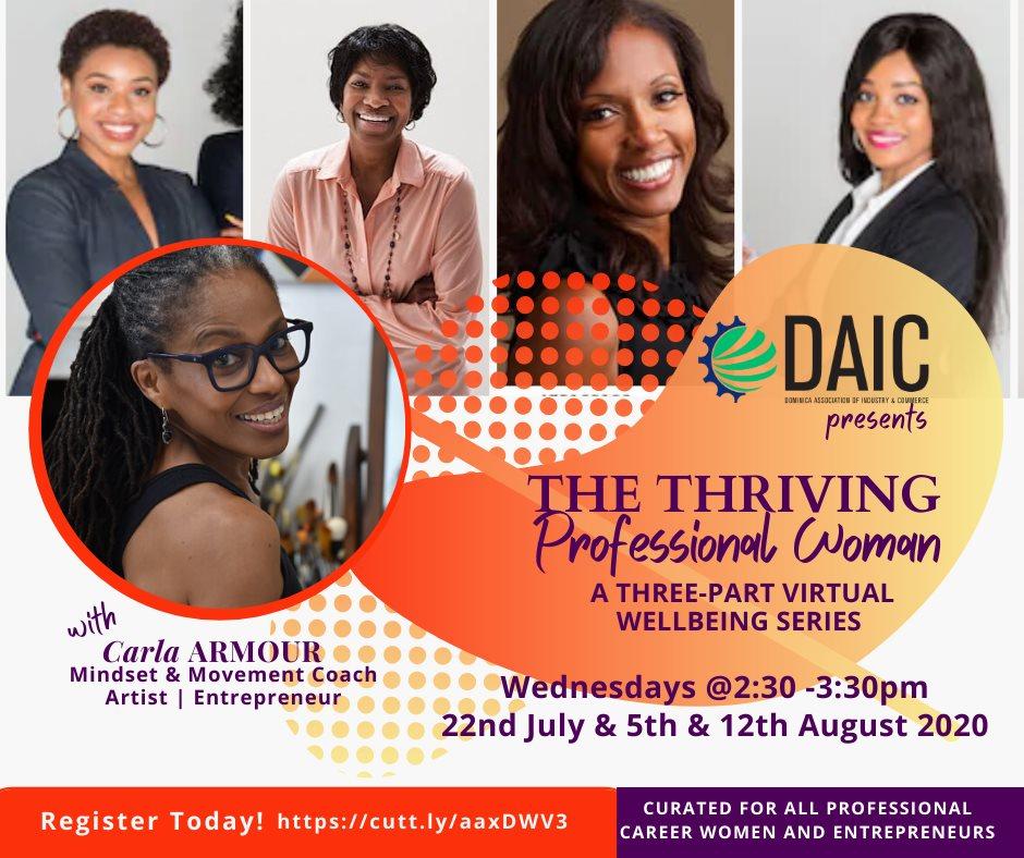 The Thriving Professional Woman Series – DOM767