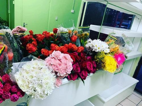 Red Lily Flower Shop | Business