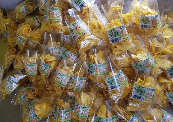 Nelly’s Plantain Chips - Business