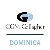 CGM Gallagher Insurance Brokers - Business