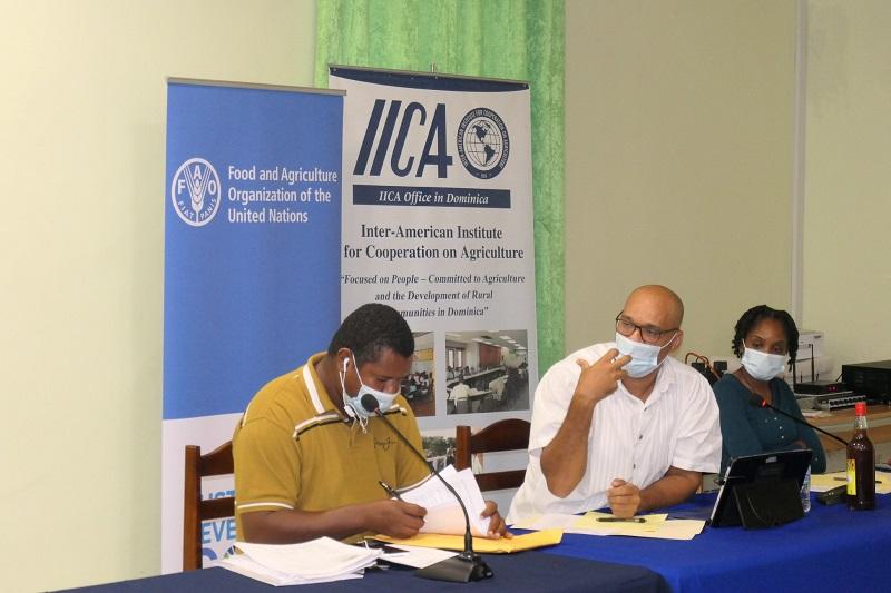 IICA assists Dominica in new ‘resilience focused’ National Agriculture ...