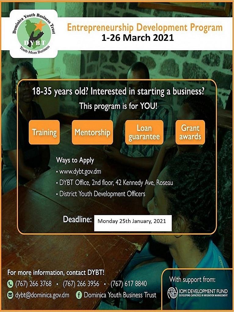 Entrepreneurial Development Program – DOM767