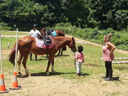 Brandy Manor Riding Center - Business