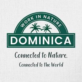 Work In Nature - Business