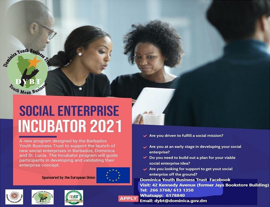 Social Enterprise Incubator Programme – DOM767 Social Enterprise Incubator Programme – DOM767