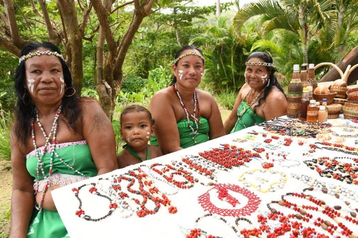 Helping Build Resilient Livelihoods in the Kalinago Territory – DOM767