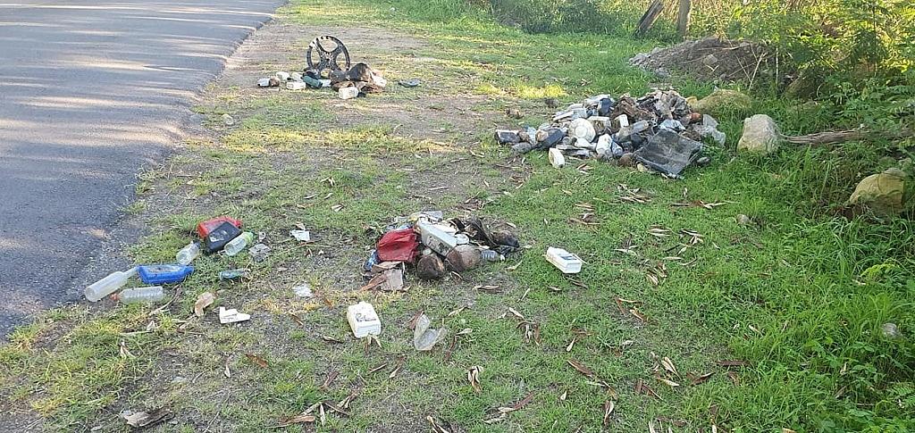 Federal Waste Agency to Establish Recycling Unit for Proper Waste ...