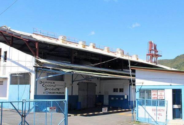 Dominica Coconut Products (DCP) - Business