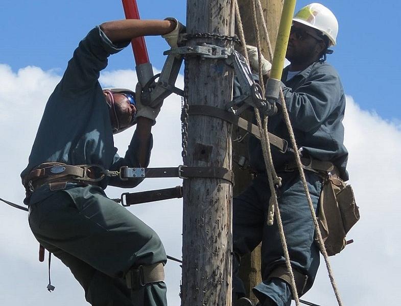 DOMLEC Earns $92 Million Revenue, Generates $3.51 Million Profit in ...