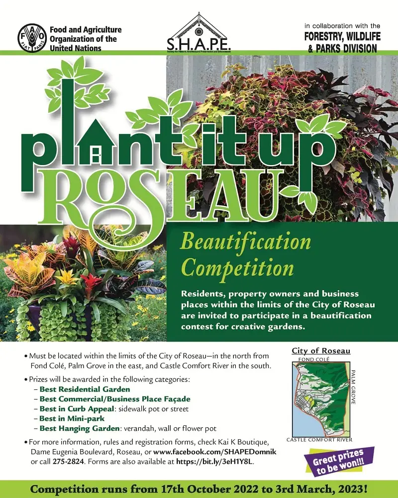 Beautification Competition – DOM767