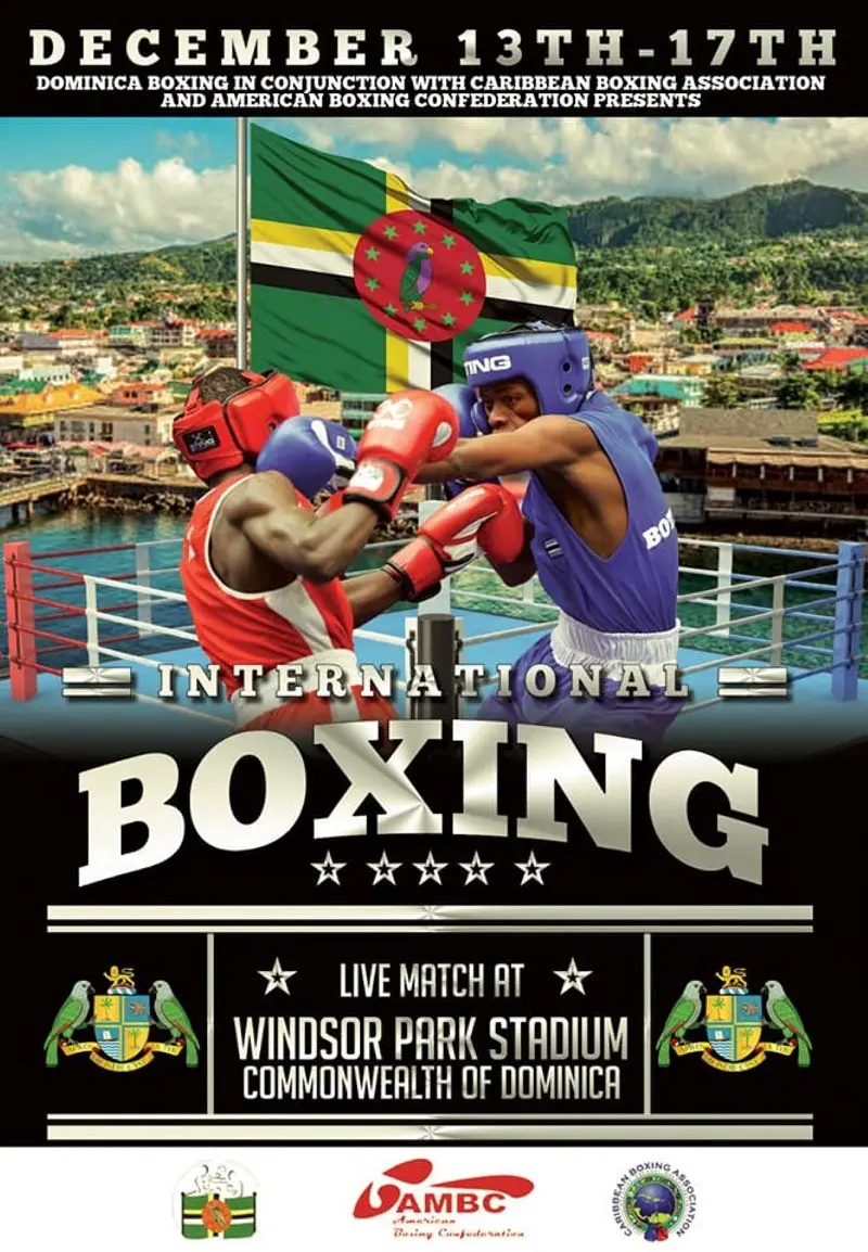 International Boxing – DOM767