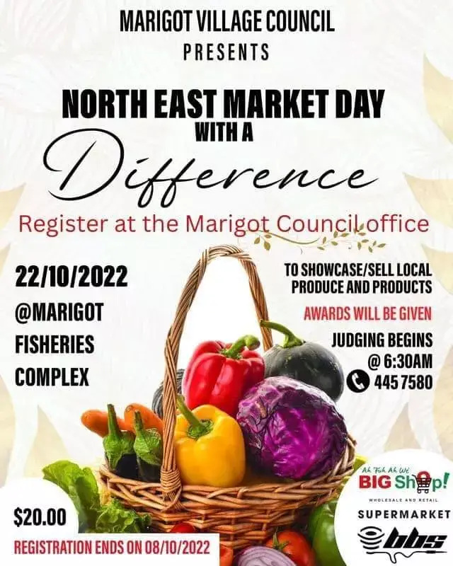 North East Market Day – DOM767