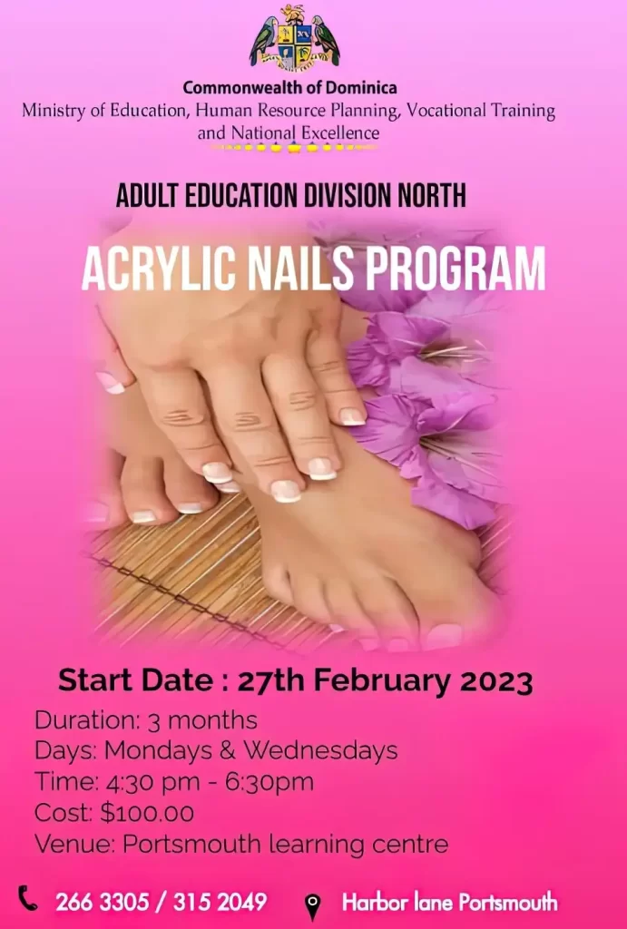 Acrylic Nail Program – DOM767