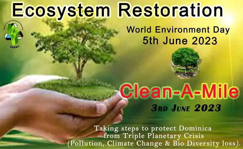 Ecosystem Restoration – DOM767