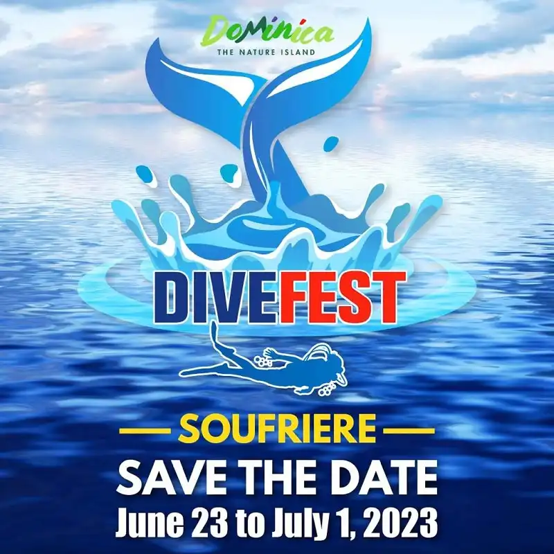 Dive Fest: 2023 – DOM767