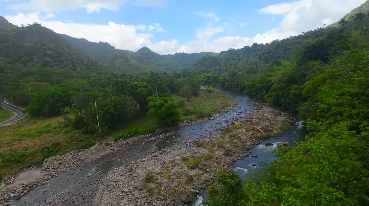 Layou River – DOM767