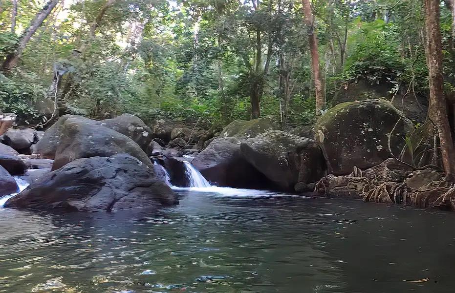 Picard River – DOM767