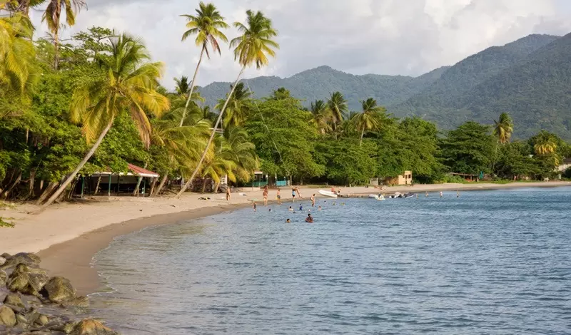 Purple Turtle Beach – DOM767