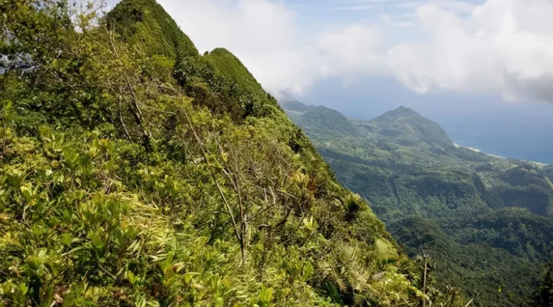 Morne Anglais – DOM767