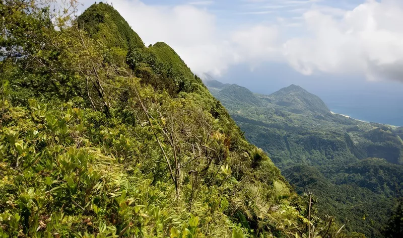 Morne Anglais – DOM767