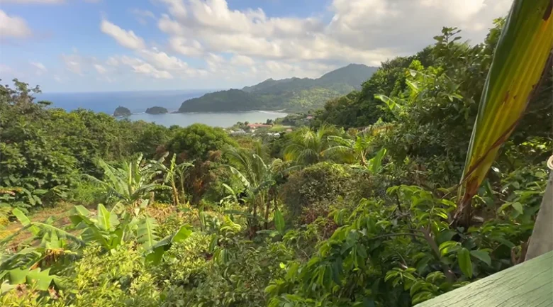 Sineku, Kalinago Village – DOM767